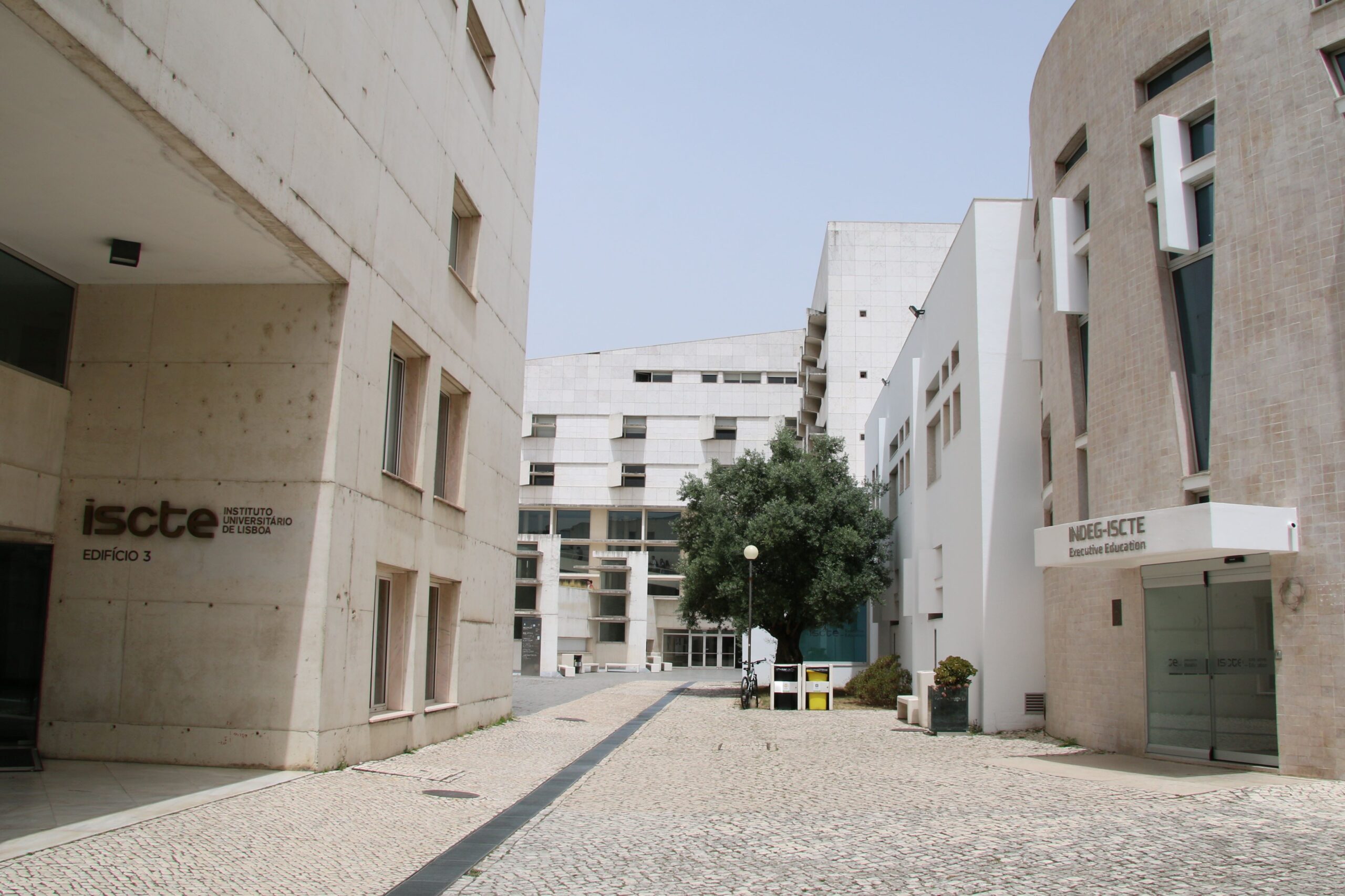 Seis programas de gestão do Iscte Executive Education arrancam já este ...